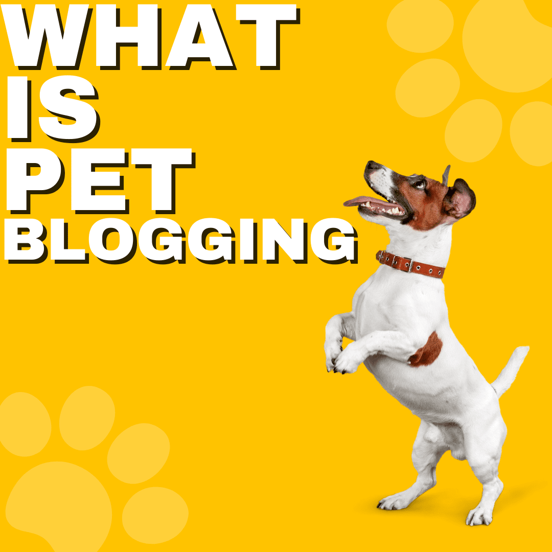 How To Start A Pet Blog (A Beginner's Guide) | Bloggingfy